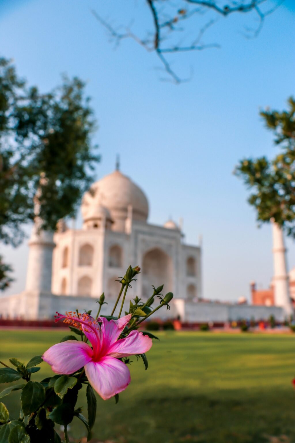 Complete Guide to Agra and the Taj Mahal - Taj Explorer